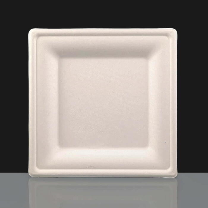 25cm / 10 inch Large White Bagasse Plate - Square