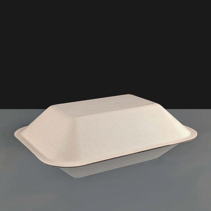 Small White Bagasse Chip Trays