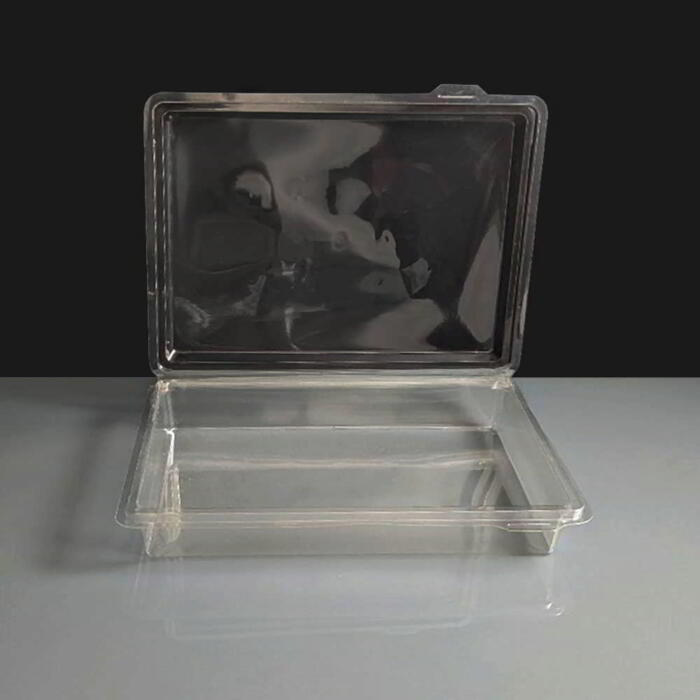 Clear Plastic Nibble Snack or Meal Box with Hinged Lid