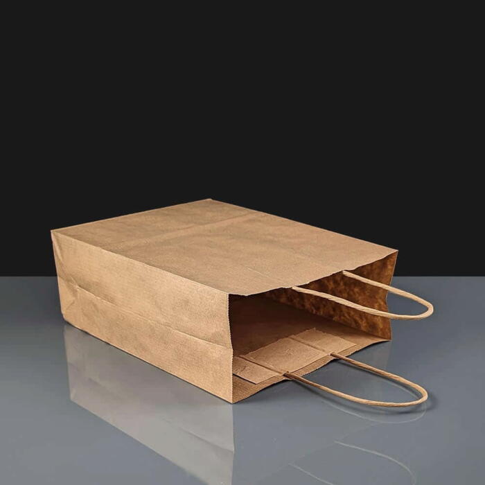 Small Twisted Handle Kraft Brown Paper Bag | Cater 4 You