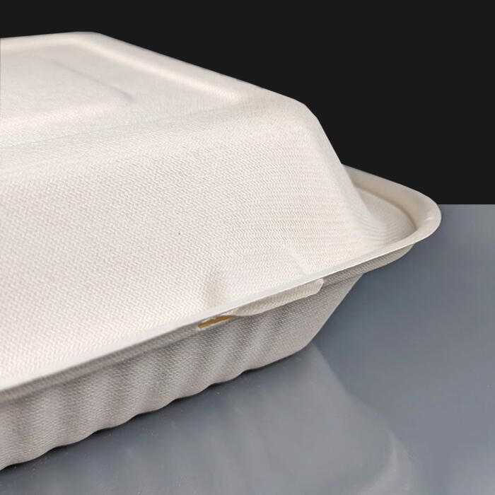 Compostable 9 Inch Square Meal Box
