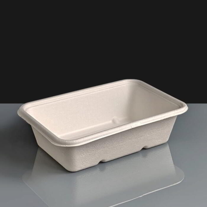 White BioCane Rectangular Container 600ml