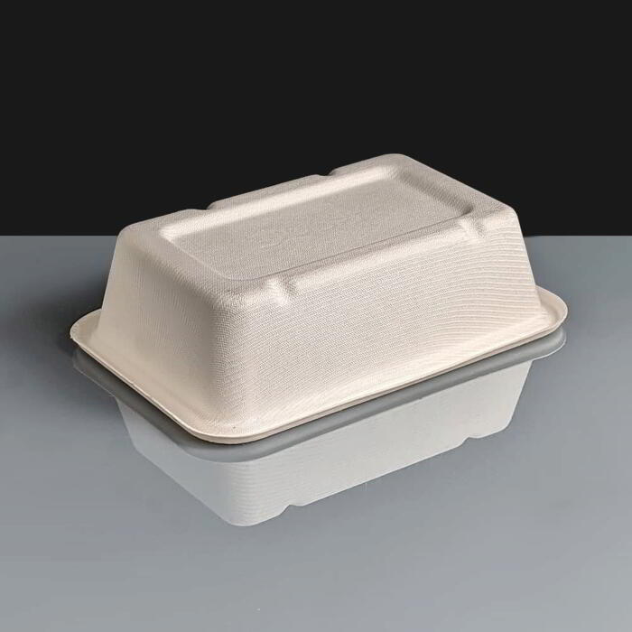 White BioCane Rectangular Container 600ml