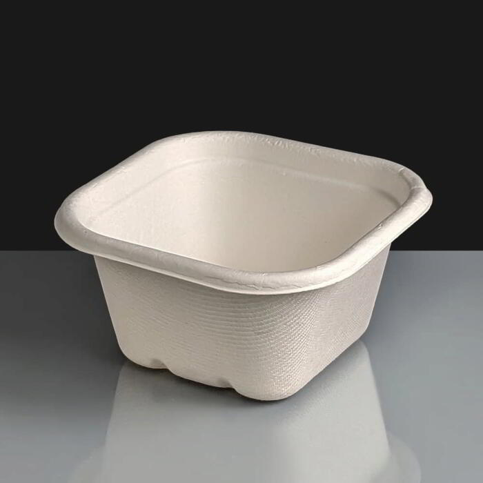 White BioCane Takeaway Container 480ml
