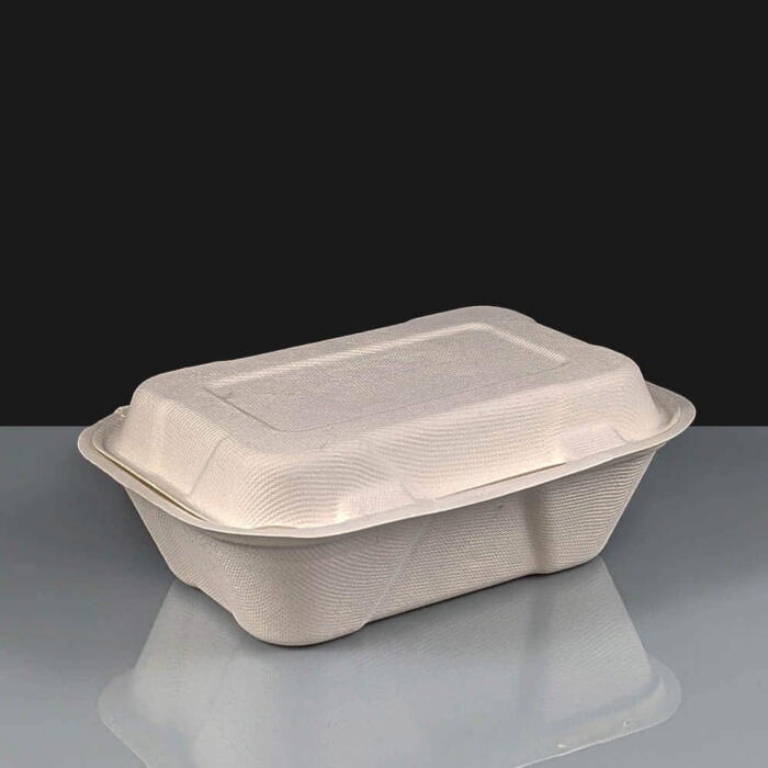 White Compostable Bagasse Meal Boxes 7 x 5