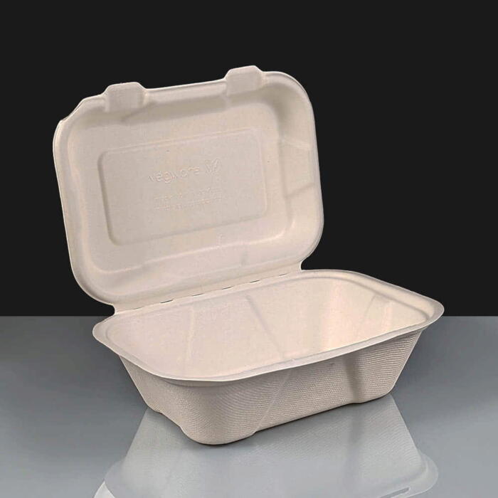 White Compostable Bagasse Meal Boxes 7 x 5