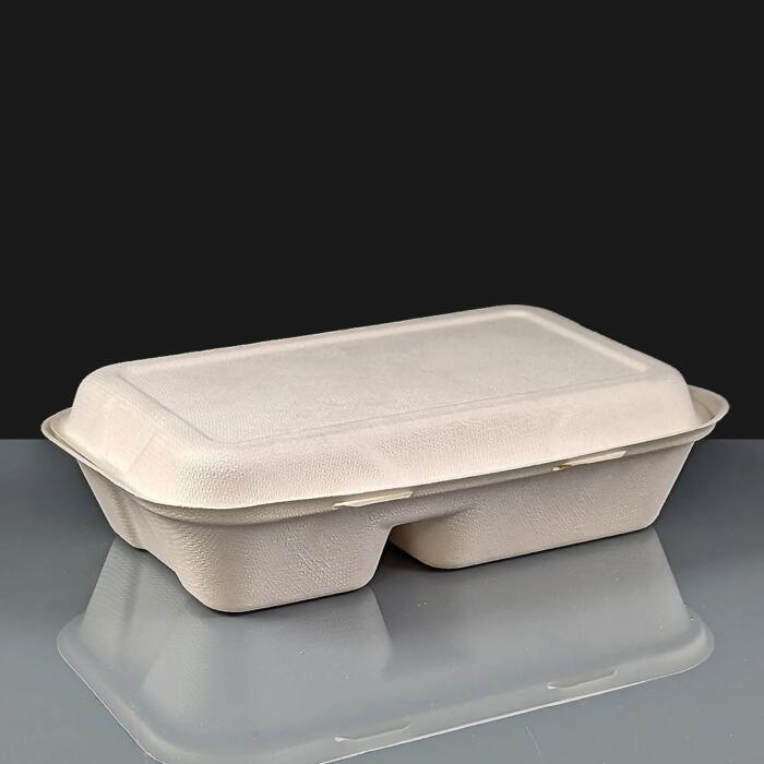Compostable Bagasse 9 x 6 inch 2 Compartment Food Box