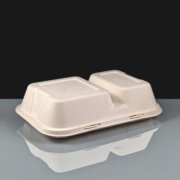 Compostable Bagasse 9 x 6 inch 2 Compartment Food Box