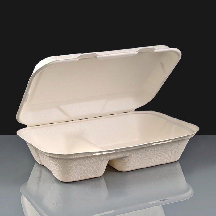 Compostable Bagasse 9 x 6 inch 2 Compartment Food Box