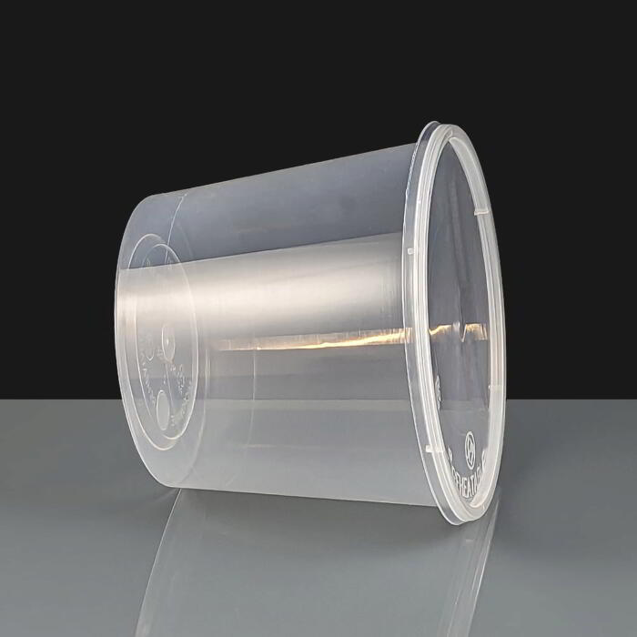 T25 Clear Round Plastic container and lid