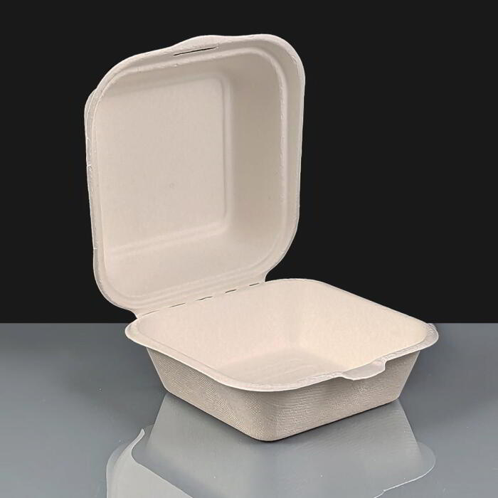 Biodegradable Burger Box | Compostable and Eco-Friendly