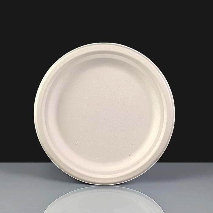 22cm (8.9") Large White Bagasse Plate