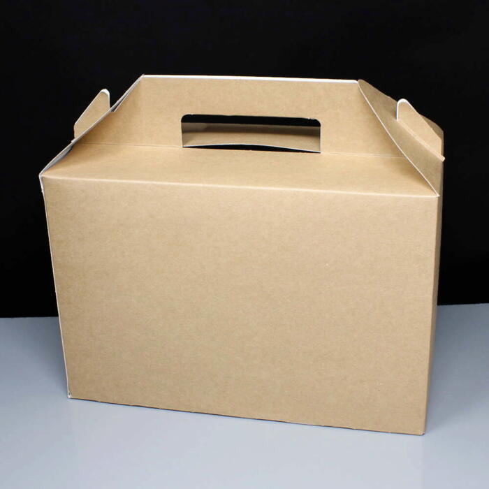 Large Carrypack / Handled Food Box