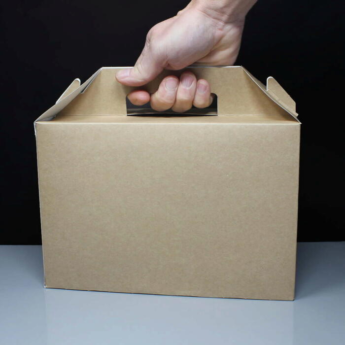 Large Carrypack / Handled Food Box