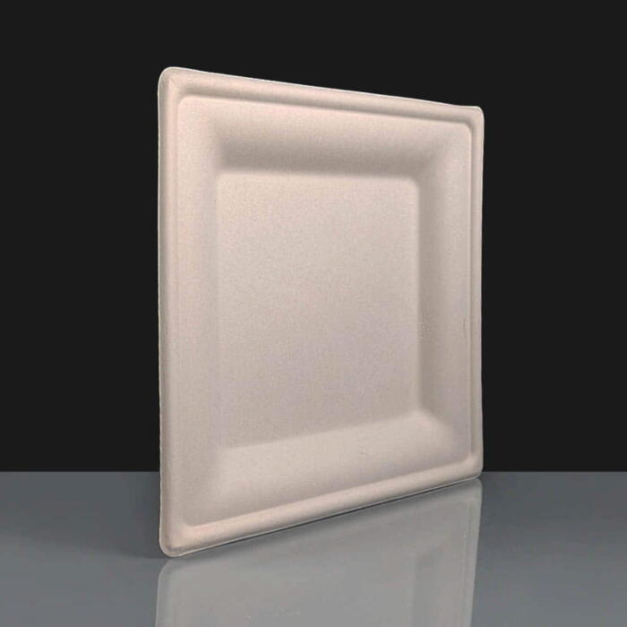 25cm / 10 inch Large White Bagasse Plate - Square