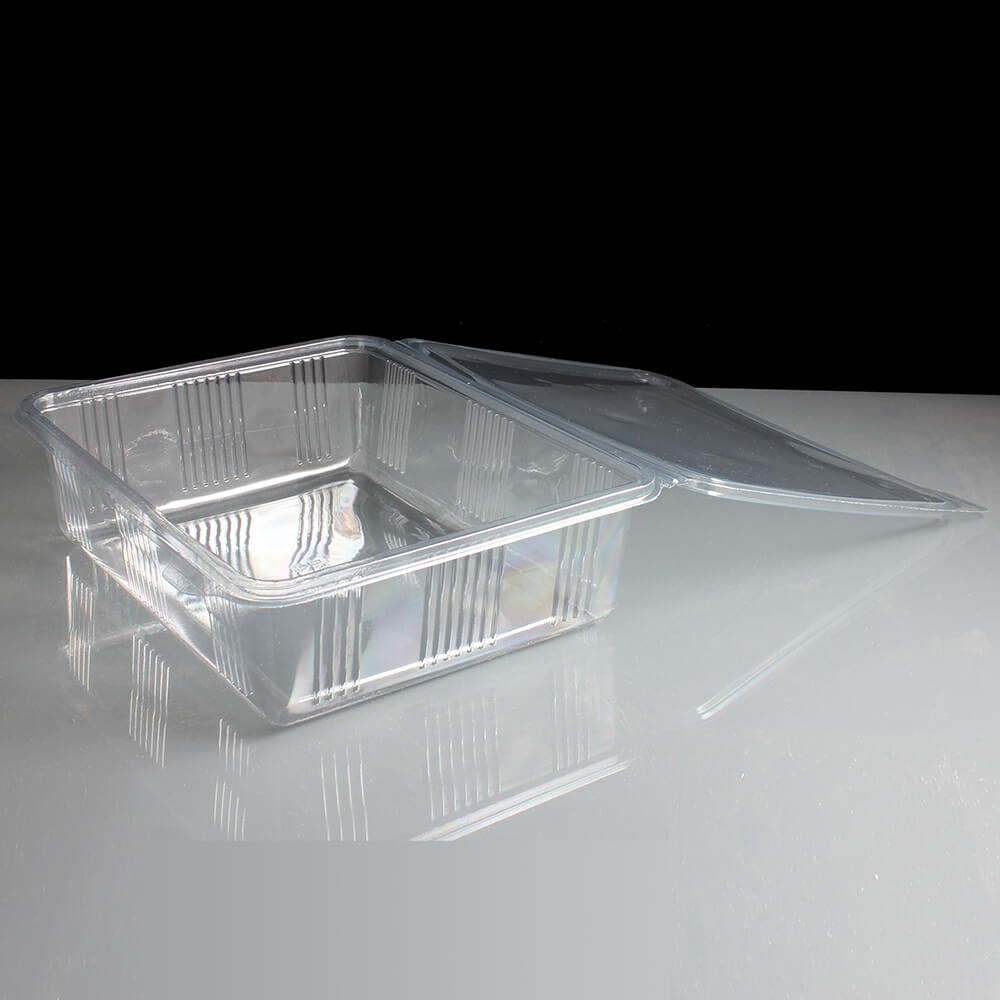 Crystal 1500cc Clear Hinged Salad Container
