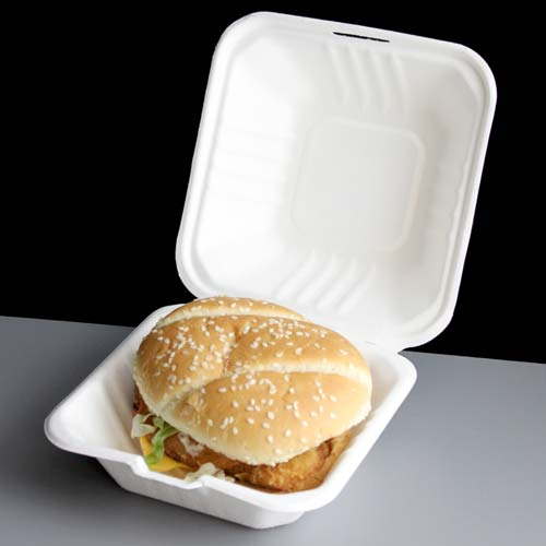 Biodegradable 6" Burger Box