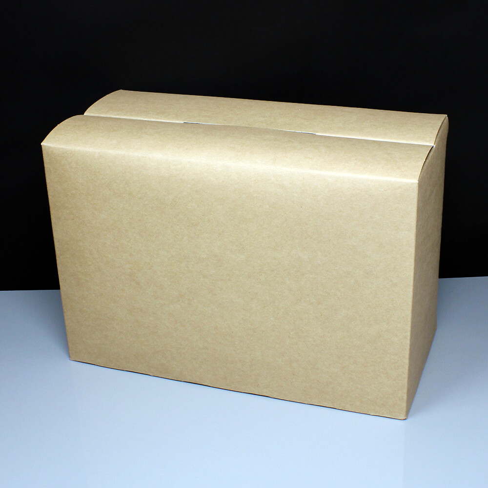 Large Carrypack / Handled Food Box