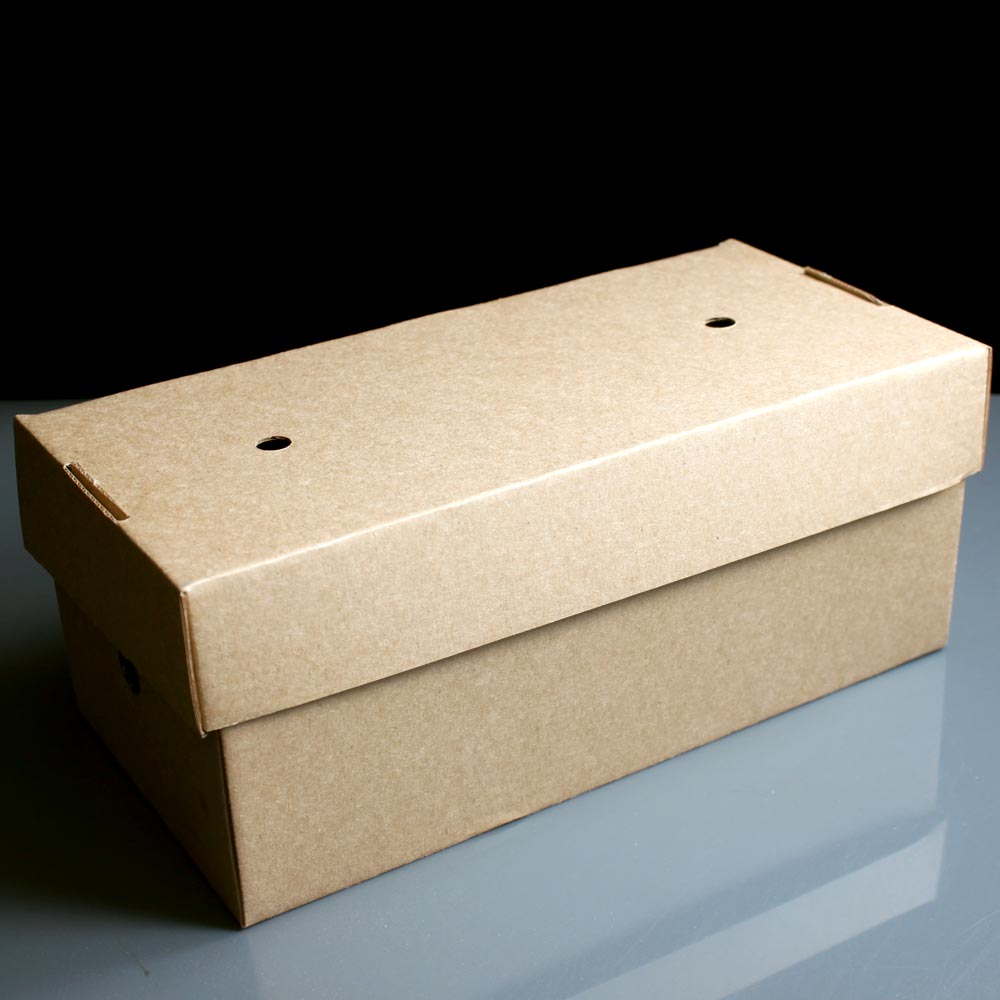 Premium Cardboard Delivery Double Burger Box: Pack of 100