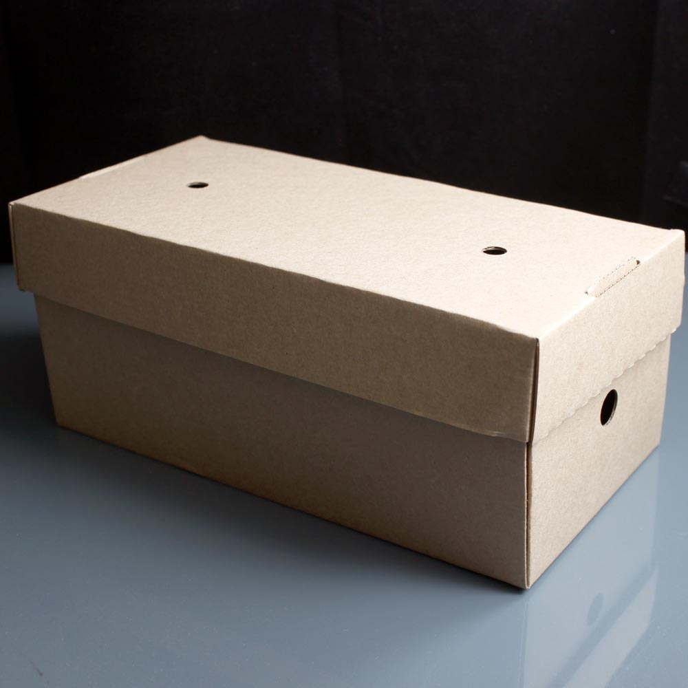 Premium Cardboard Delivery Double Burger Box: Pack of 100